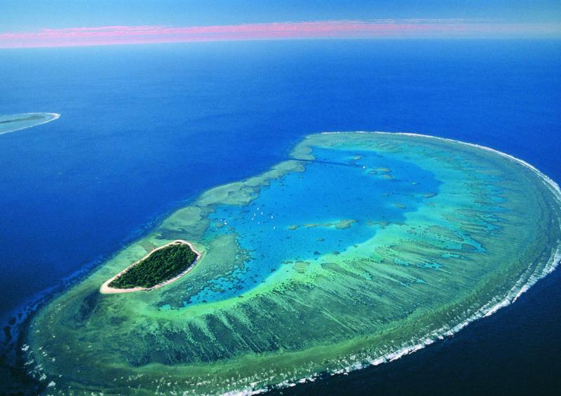 Lady Musgrave Cruises: Lady Musgrave Island and Lagoon Day Cruise | Wings